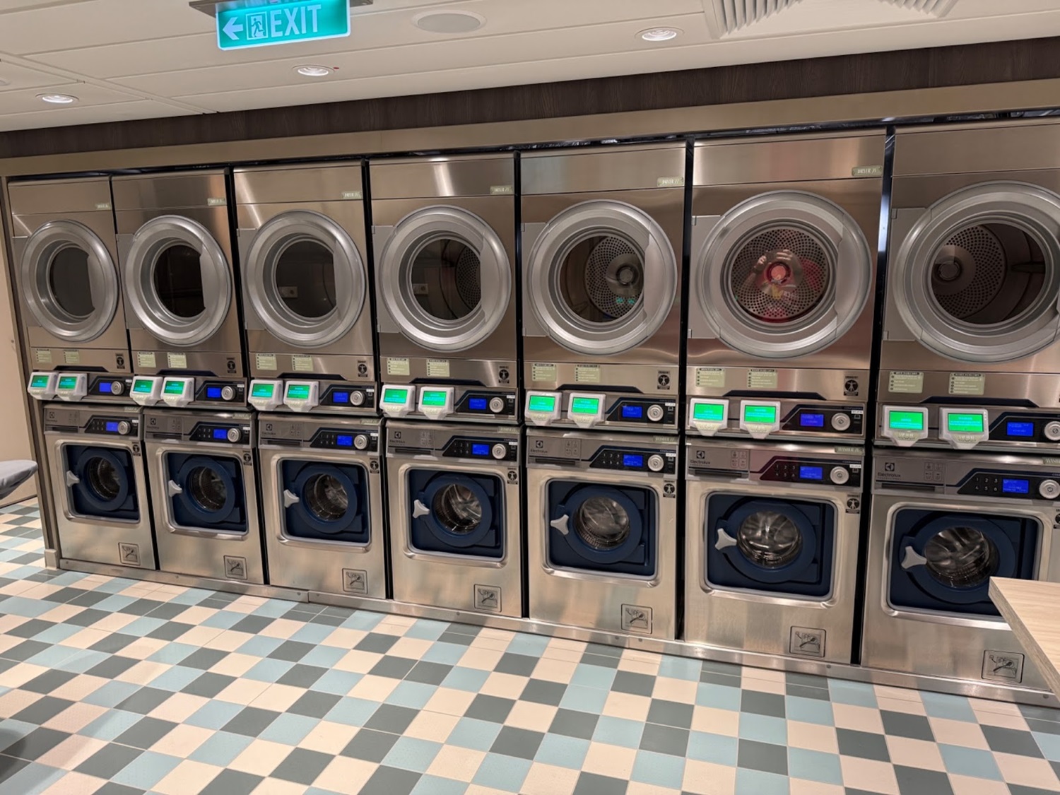 Photos: Bambi Leads the Way into the Disney Treasure Laundry Room