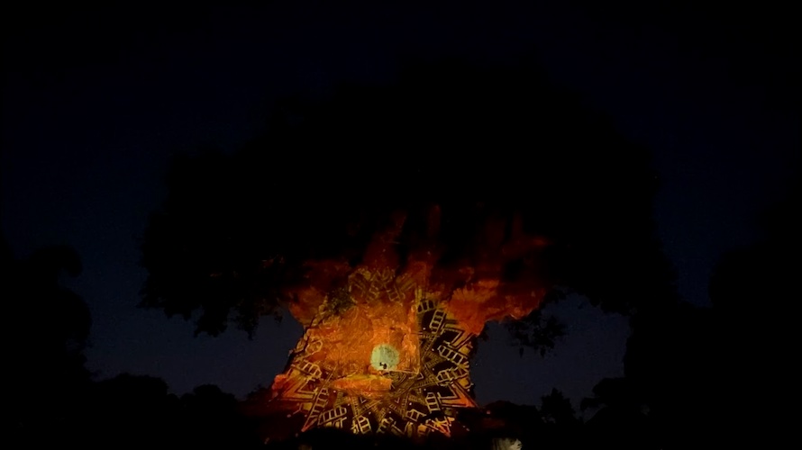 Photos/Video: "Mufasa: The Lion King" Inspired Tree of Life Awakening ...