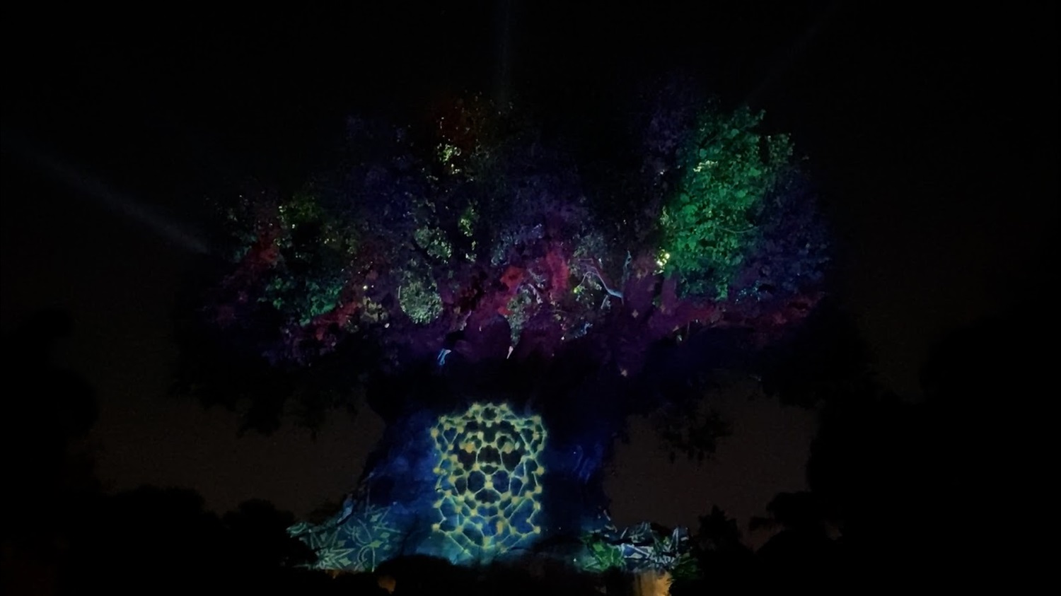 Photos/Video: "Mufasa: The Lion King" Inspired Tree of Life Awakening ...