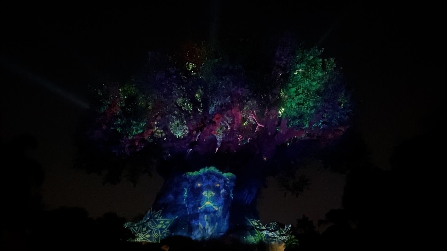 Photos/Video: "Mufasa: The Lion King" Inspired Tree of Life Awakening ...