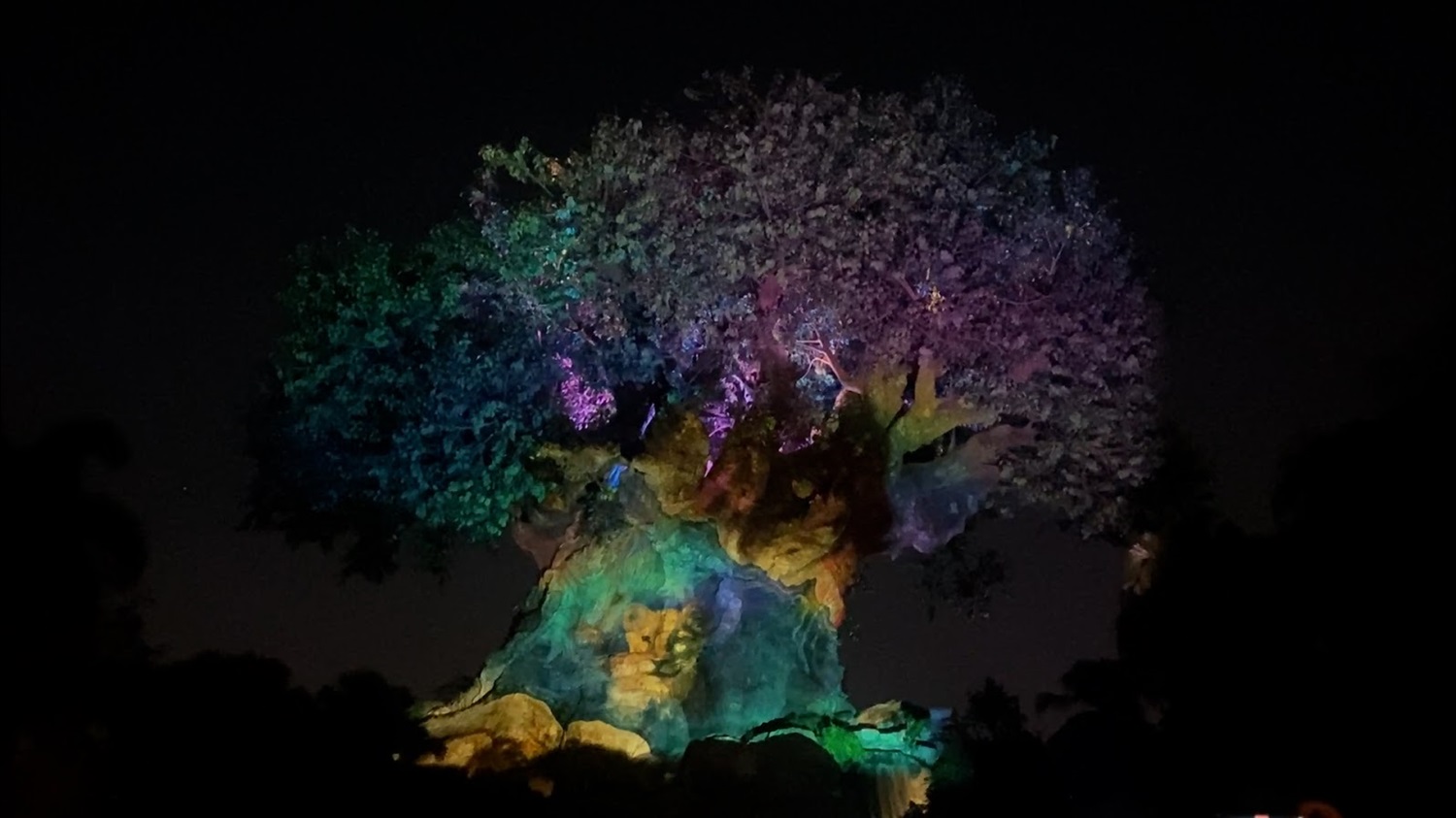 Photos/Video: "Mufasa: The Lion King" Inspired Tree of Life Awakening ...