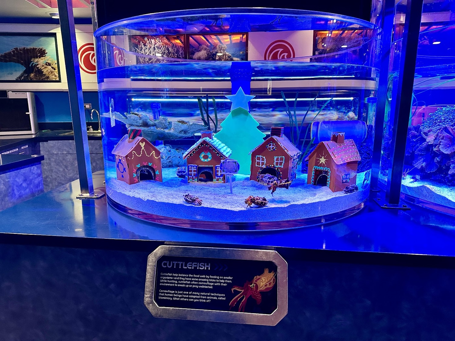 Christmas Arrives Beneath the Surface with Festive Decor Found in The ...