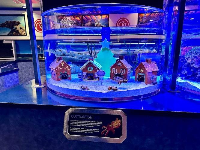 Christmas Arrives Beneath the Surface with Festive Decor Found in The ...