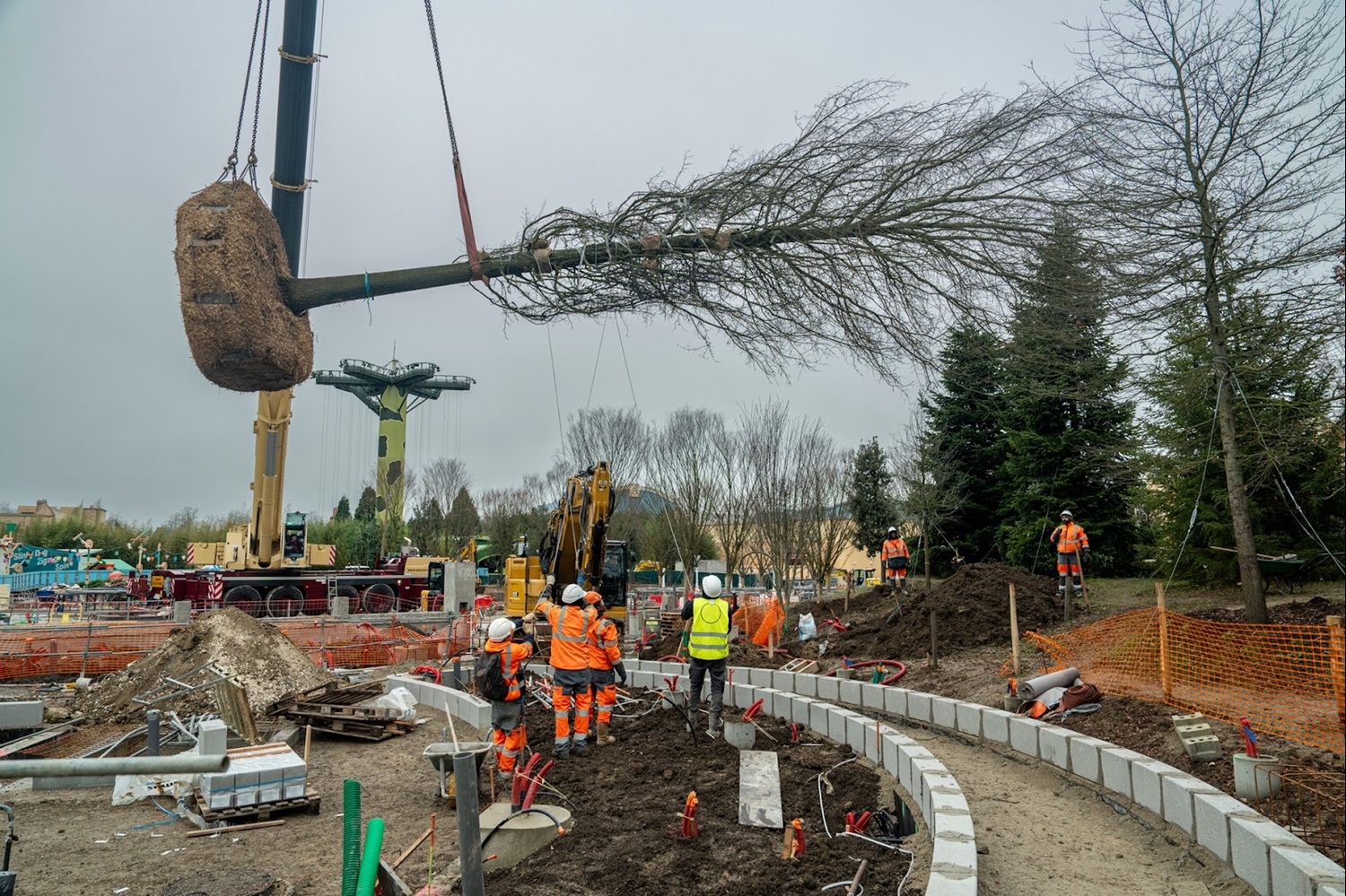 Walt Disney Imagineering Adds Landscaping to Adventure Way at ...