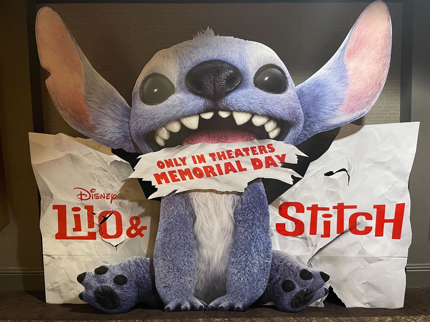 AMC Theatres Standees Get Movie Fans Excited for Disney’s 2025 ...