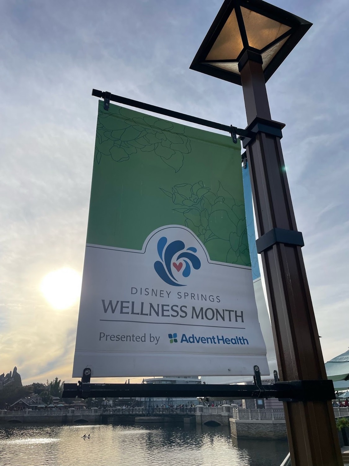 Photos / Video: Cirque du Soleil’s “Drawn to Life” Hosts Wellness ...
