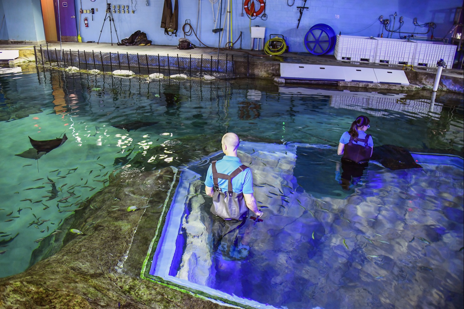 Inside Look Returns to SeaWorld Orlando for Two Weekends with New ...