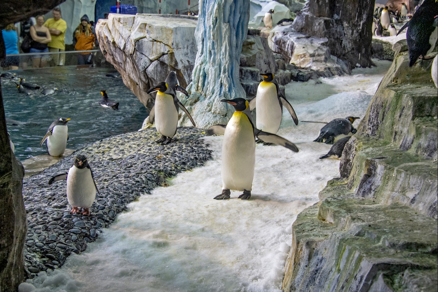 Inside Look Returns to SeaWorld Orlando for Two Weekends with New ...