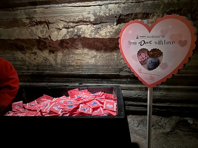 Photos: Disneyland After Dark Sweethearts' Nite Kicks Off with Event ...