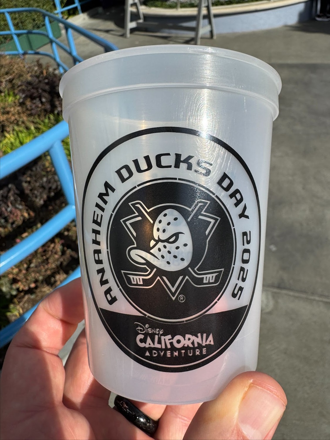 Photos/Videos: Anaheim Ducks Day Takes Over Disney California Adventure ...