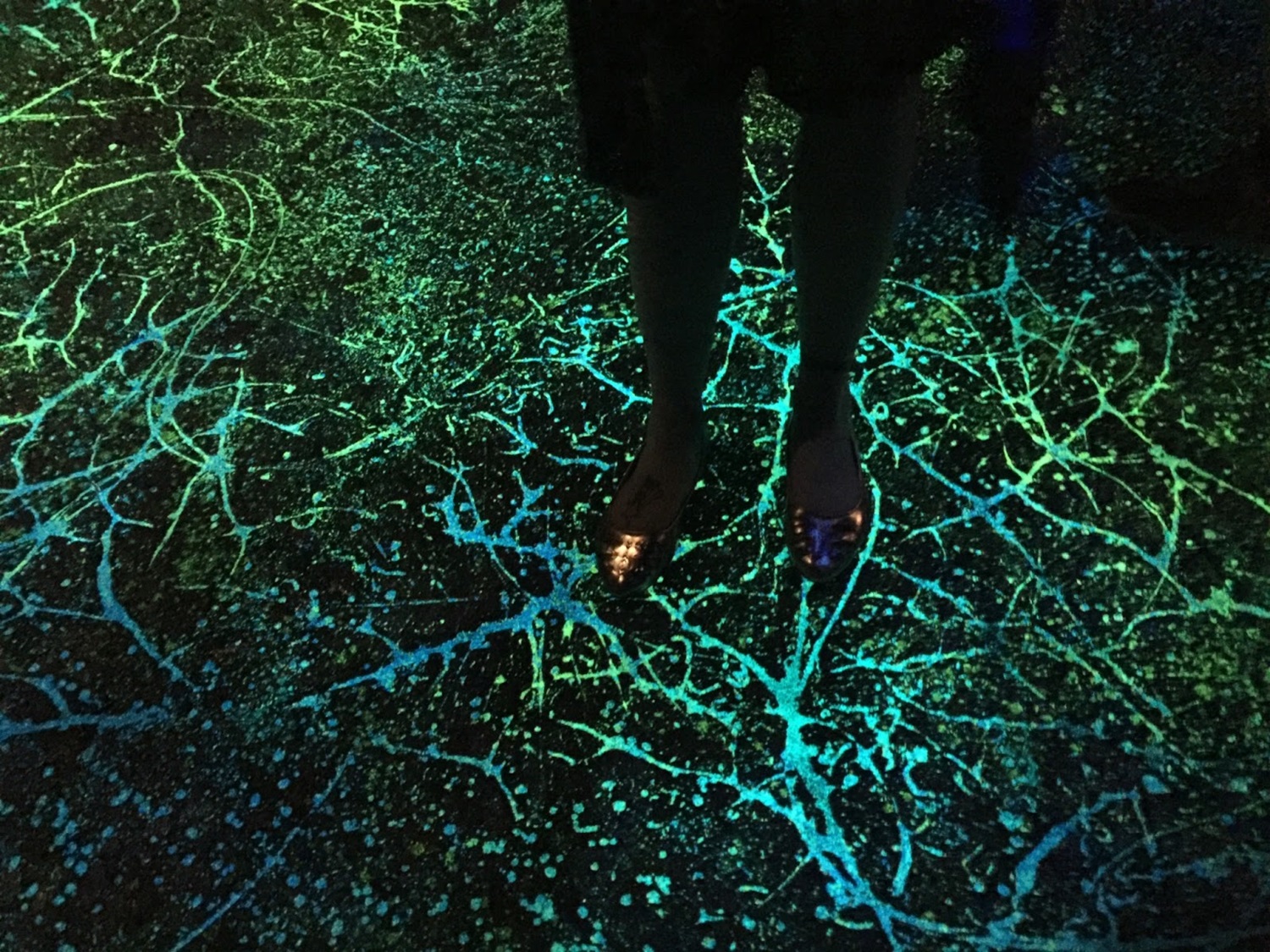 Photos: Pandora - The World of Avatar Bioluminescent Ground Getting a ...