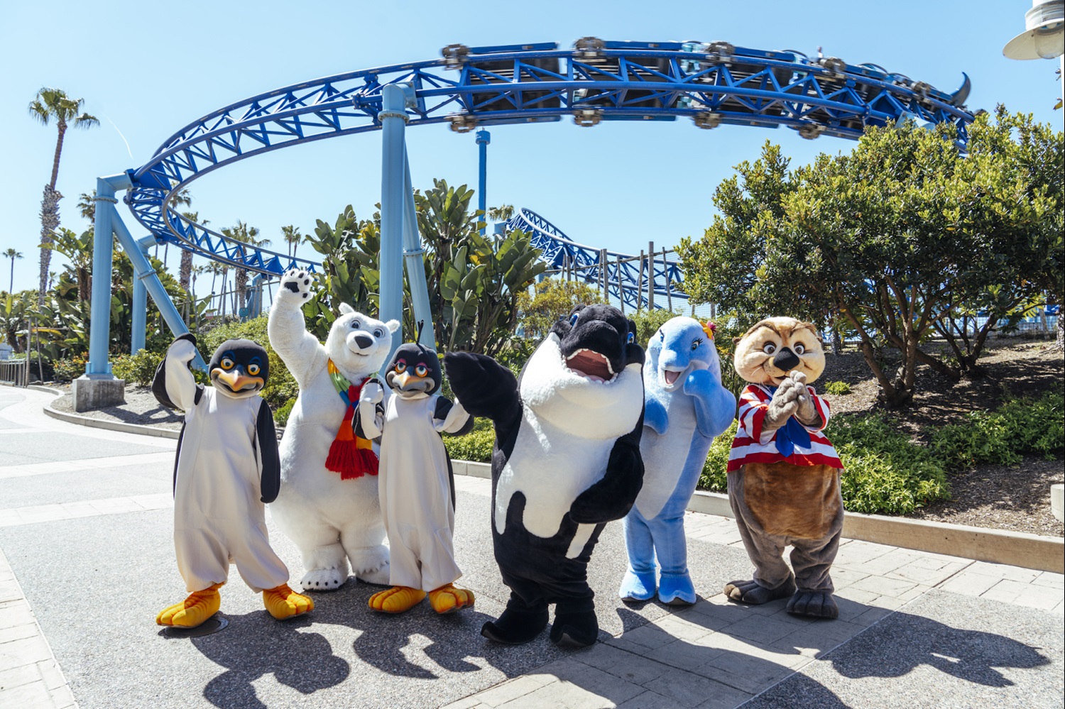 SeaWorld San Diego Hosting First Ever Fins & Flippers 5K this Spring ...