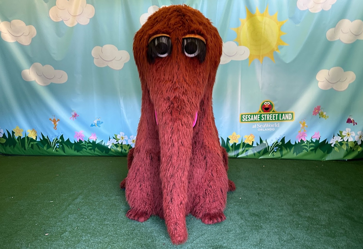Photos: Sesame Street’s Mr. Snuffleupagus Returns to SeaWorld Orlando
