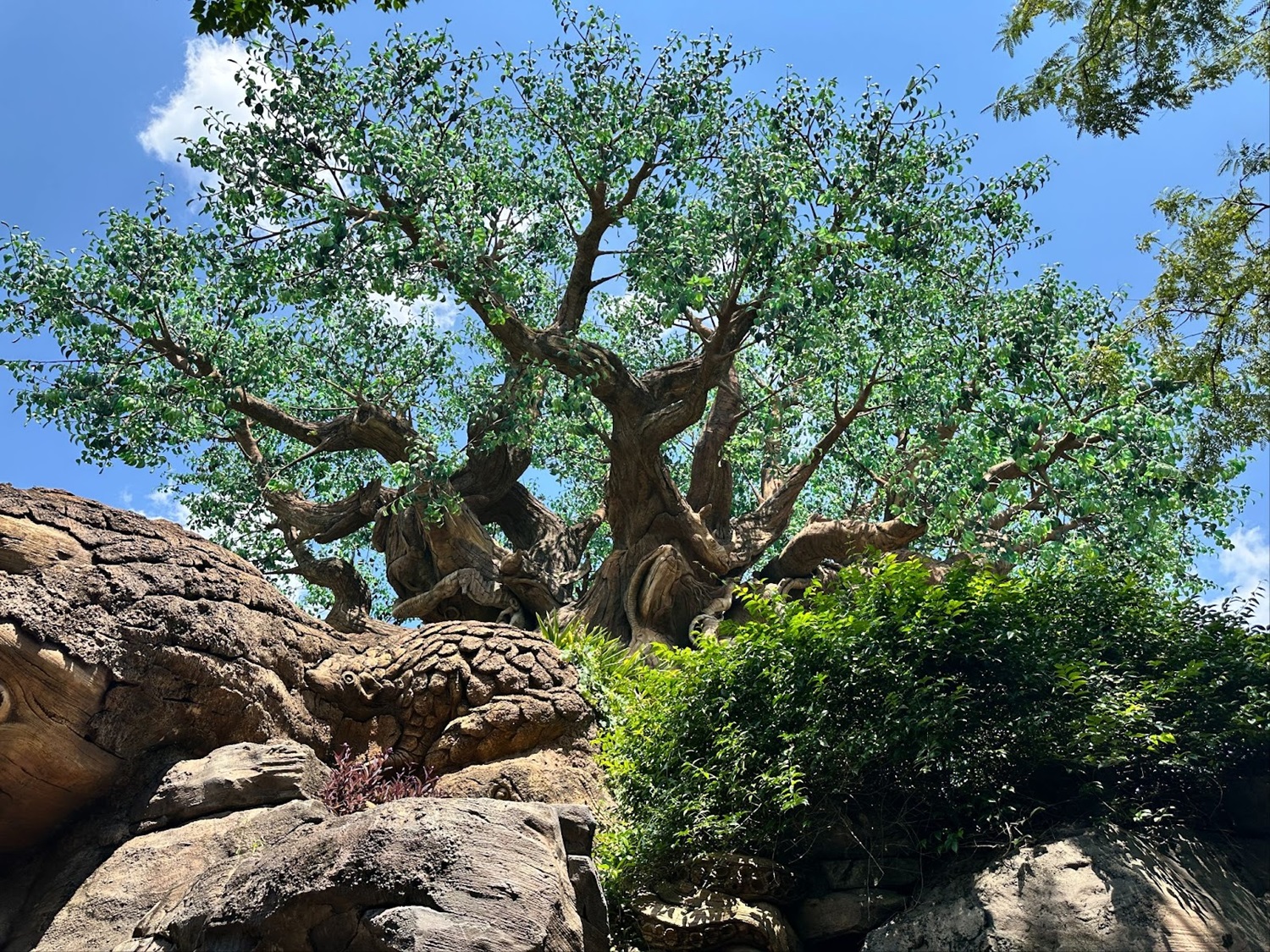 Photos: A Close Up Look at the Immersive Queue of It's Tough to be a ...