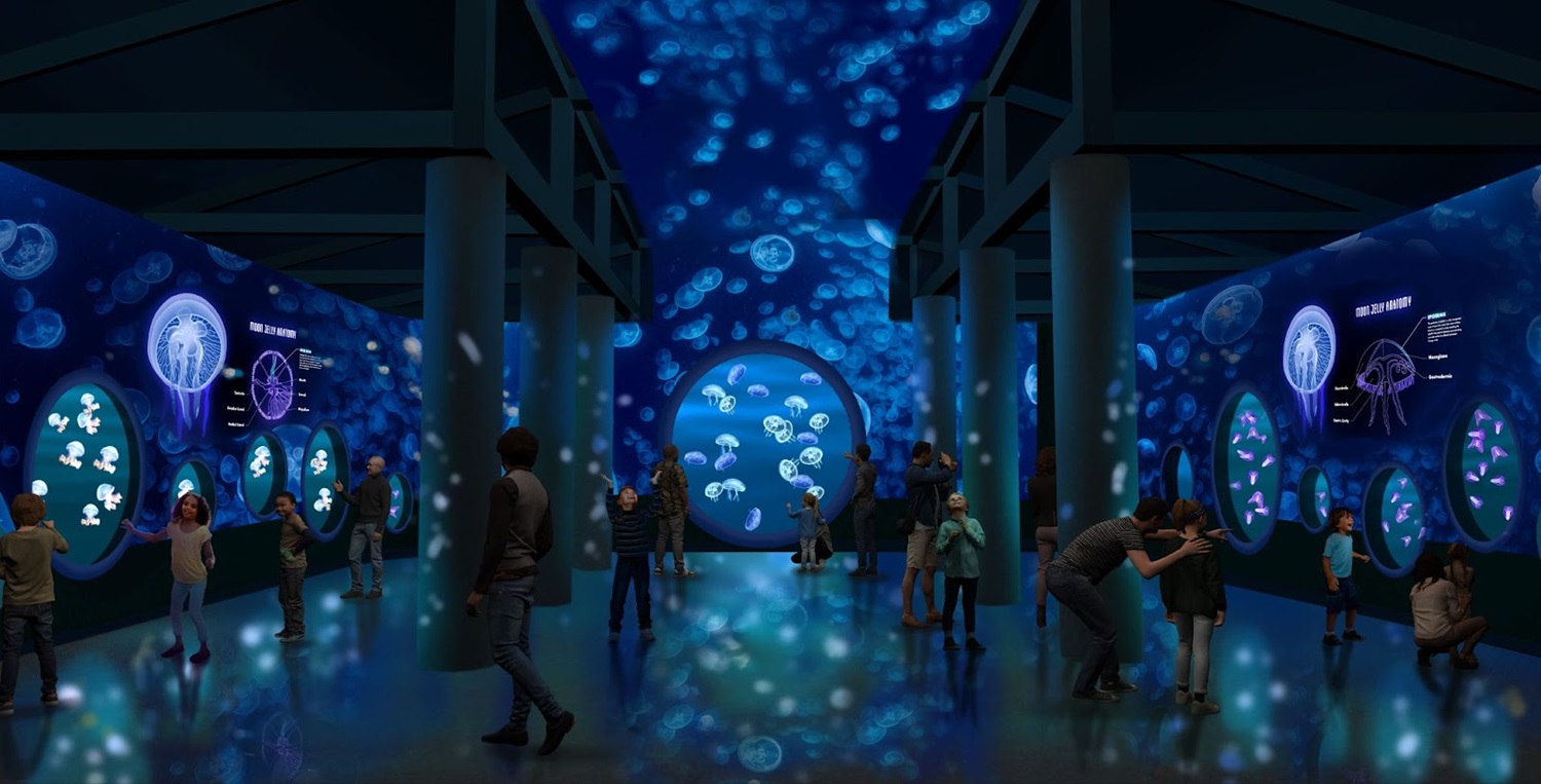 SeaWorld San Diego Reveals Opening Date for Jewels of the Sea: The ...