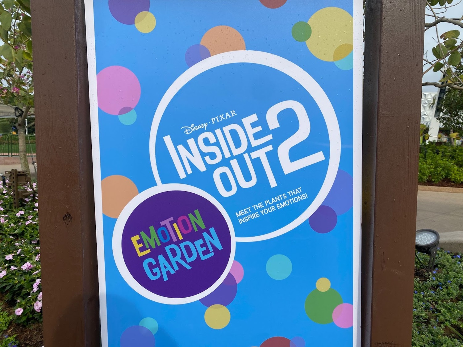 Photos: “Inside Out 2” Themed Garden at the EPCOT International Flower ...