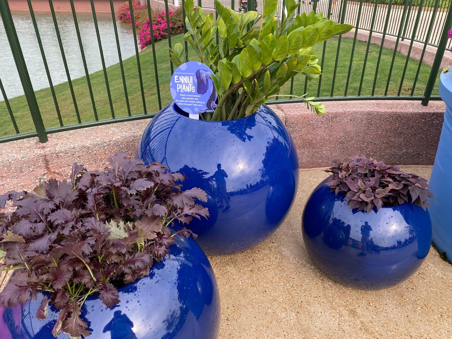 Photos: “Inside Out 2” Themed Garden at the EPCOT International Flower ...