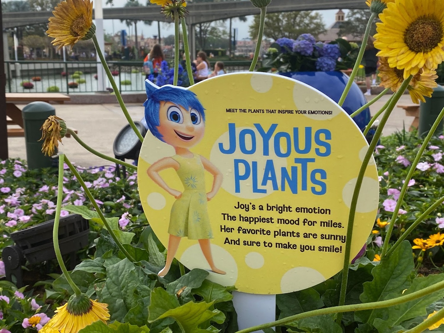 Photos: “Inside Out 2” Themed Garden at the EPCOT International Flower ...