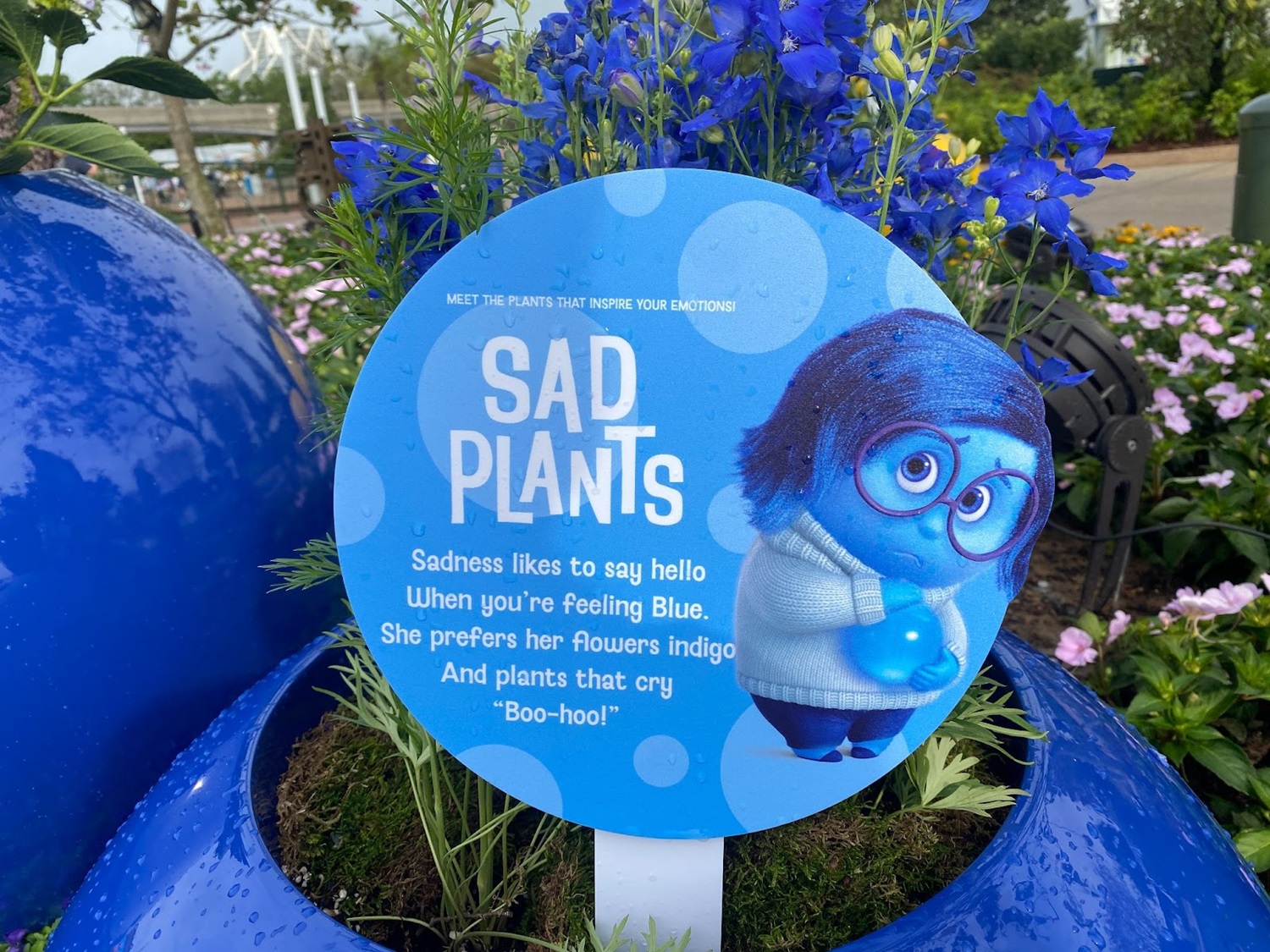 Photos: “Inside Out 2” Themed Garden at the EPCOT International Flower ...