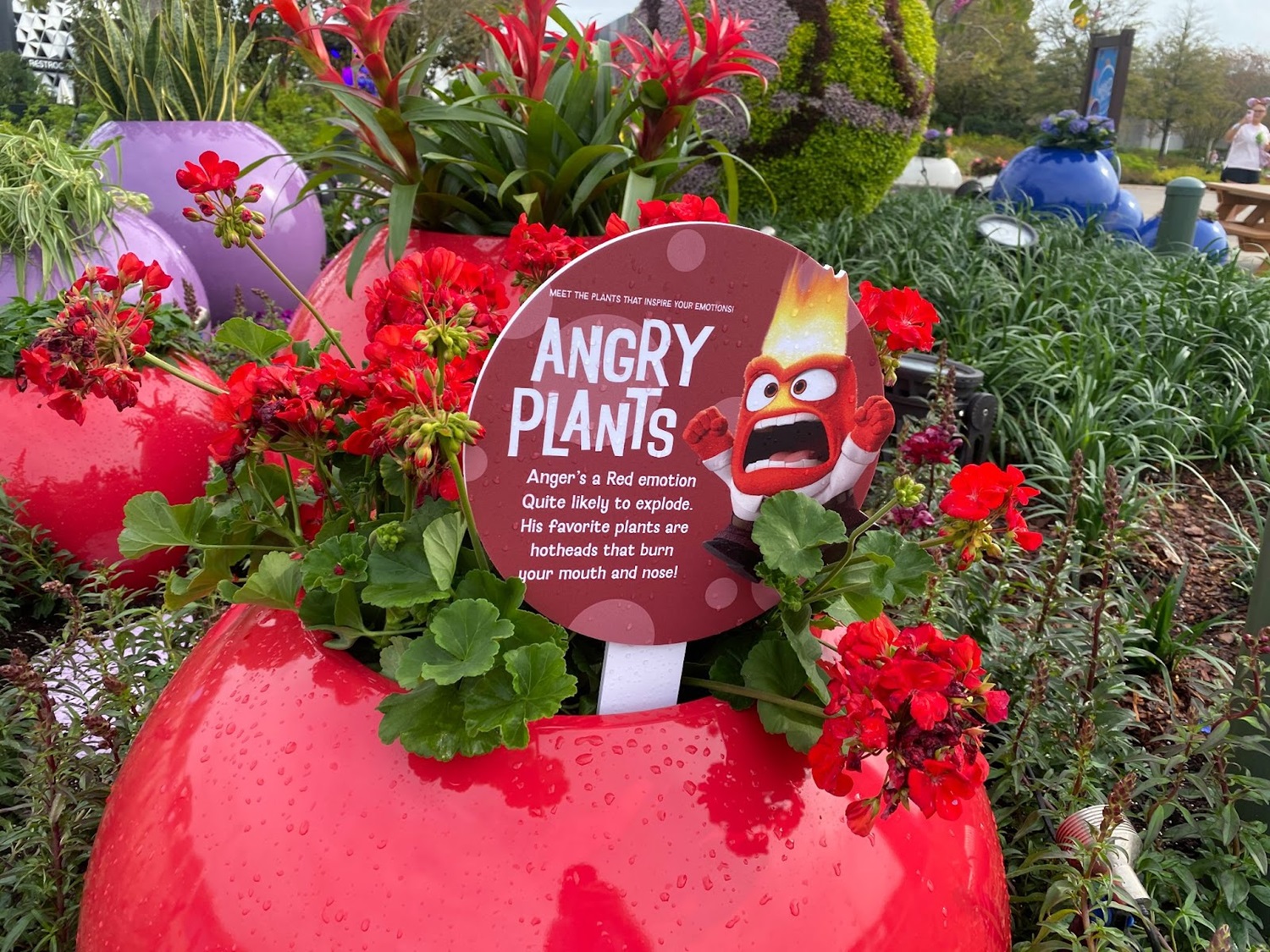Photos: “Inside Out 2” Themed Garden at the EPCOT International Flower ...