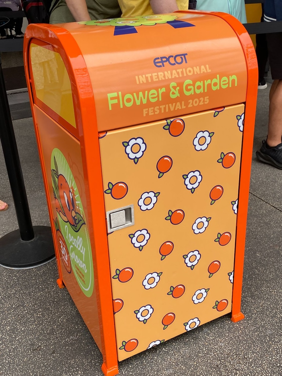 Photos: Orange Bird and Spike the Bee Trash Cans On Display for the EPCOT International Flower ...